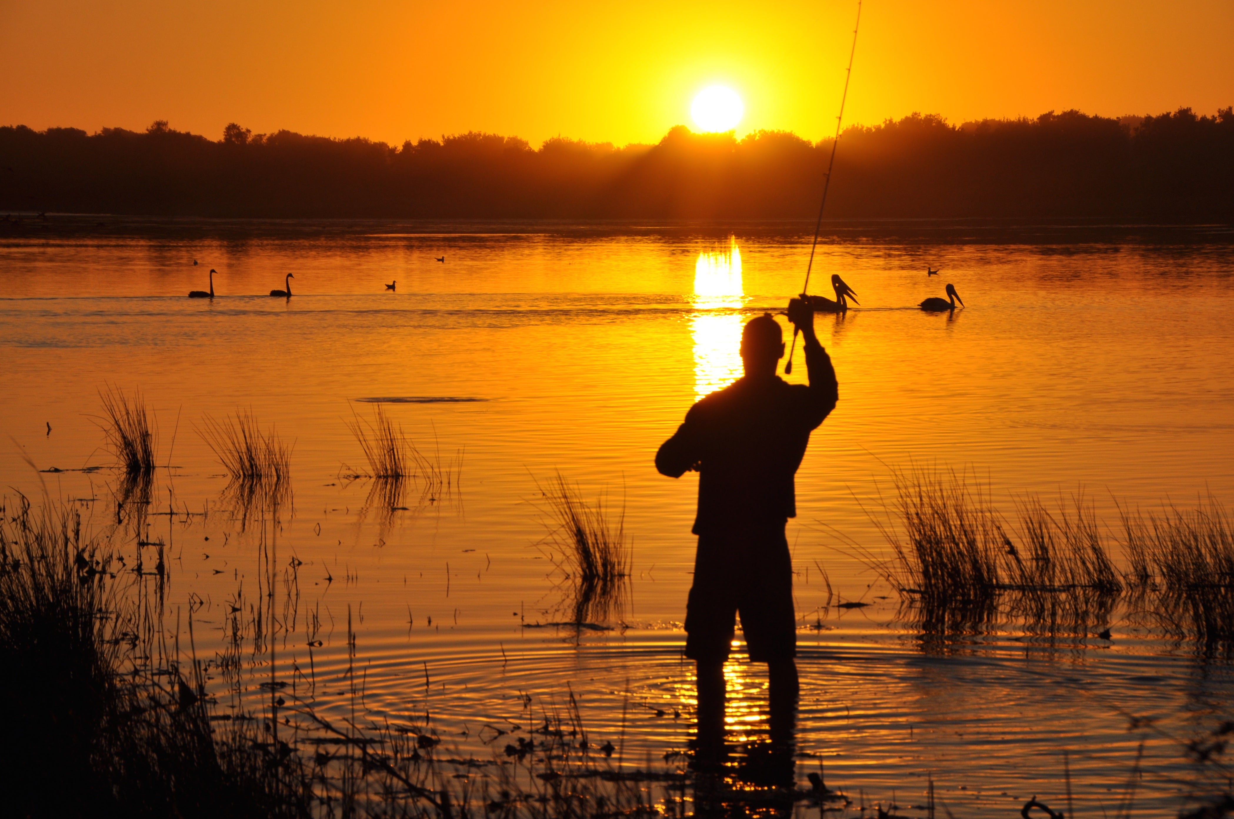 Gift Cards | Boss Outdoor | Canberra, Merimbula and Nowra