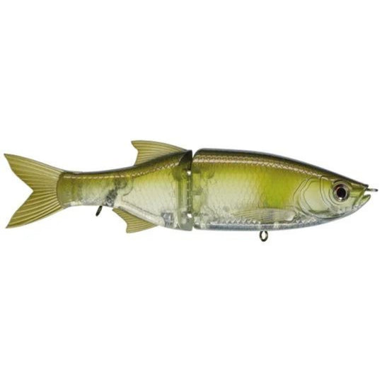 Murray Cod – Boss Outdoor