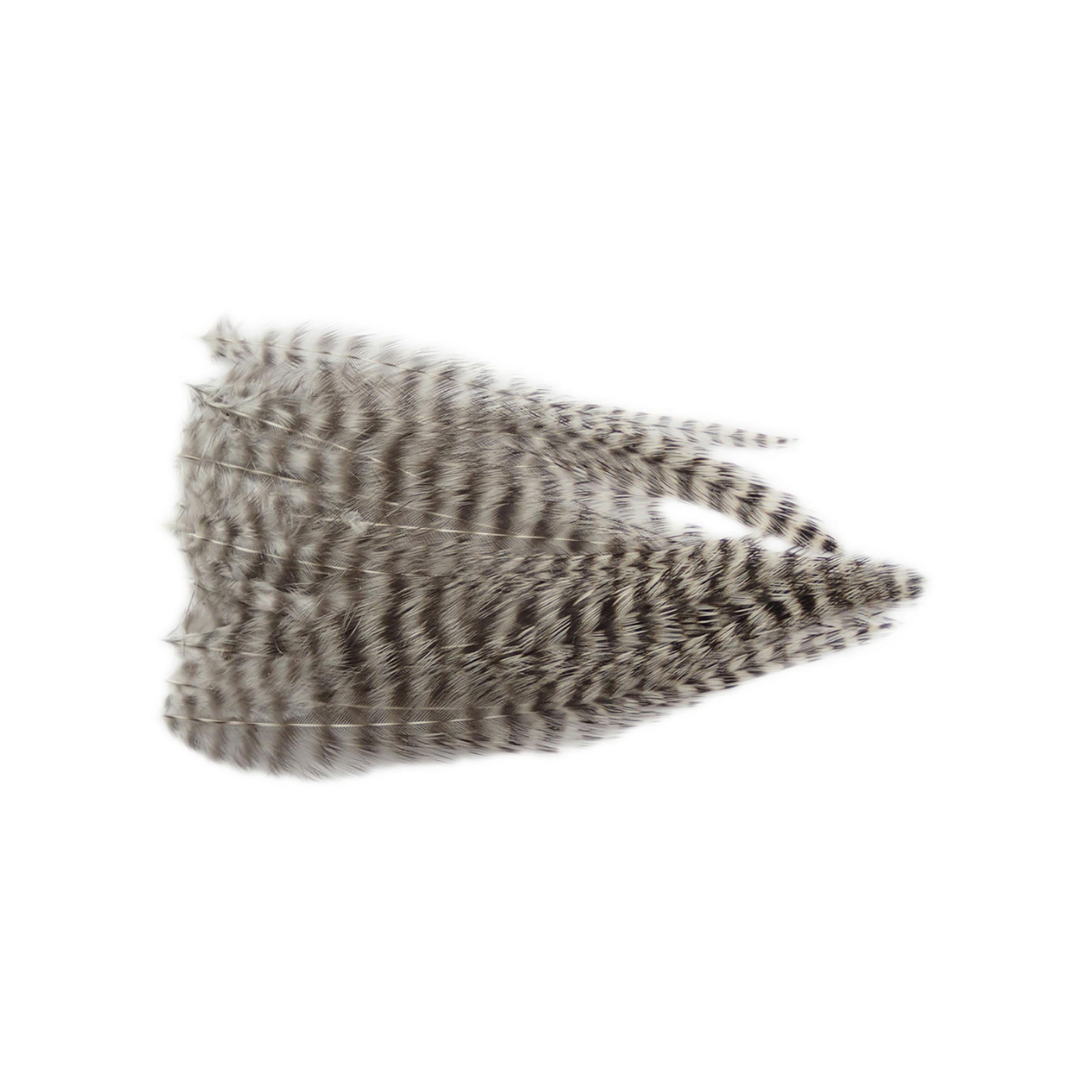 Neck Hackle Mini Pack Medium – Boss Outdoor